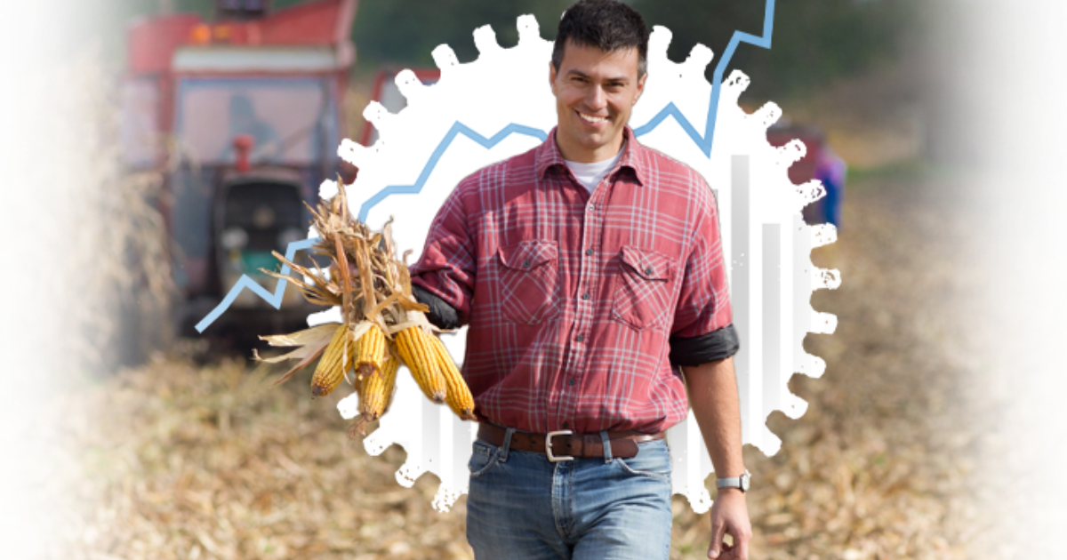 Get the Yields You Deserve | Springfield Plastics